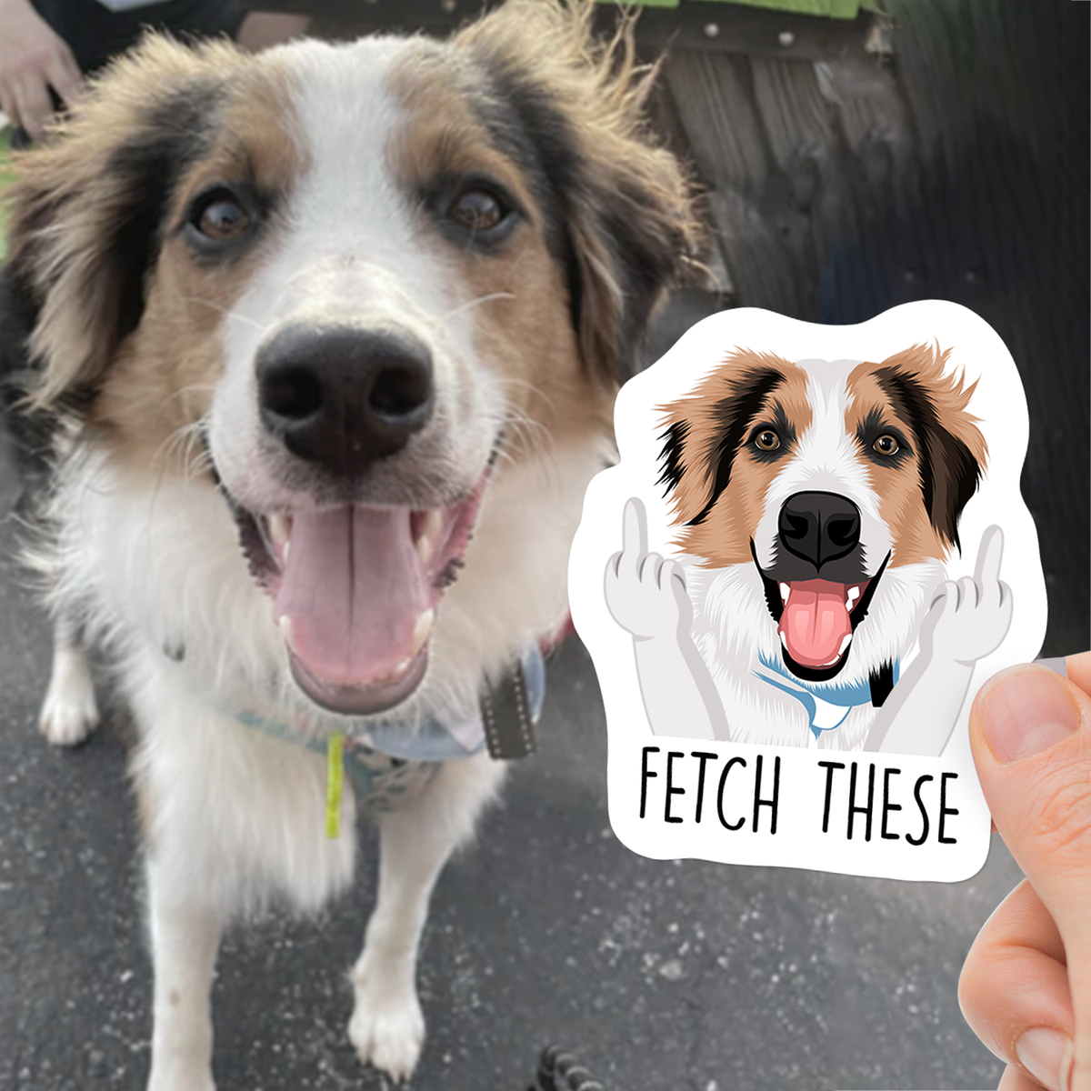 Custom Funny Pet Hand Photo Stickers – Personalized Drawing Gifts